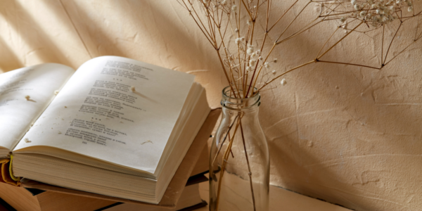 Poetry 101: 13 Different Types of Poems With Examples - Hooked To Books